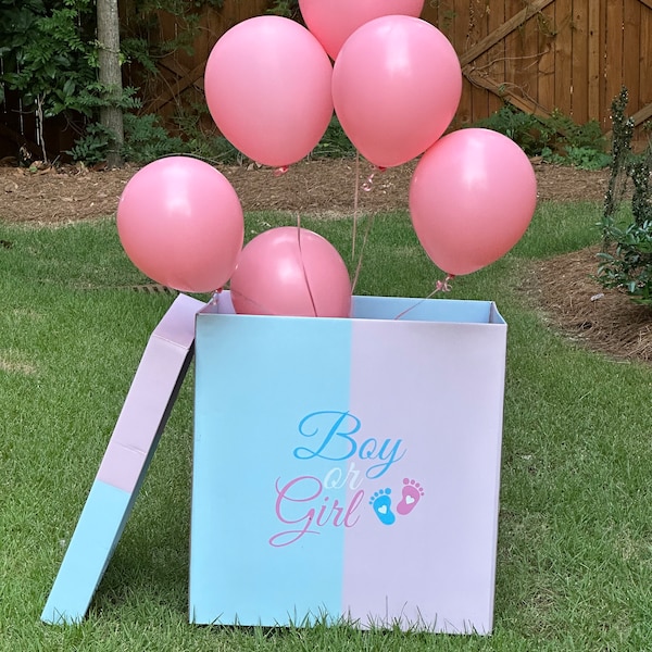 Gender Reveal Box - Etsy