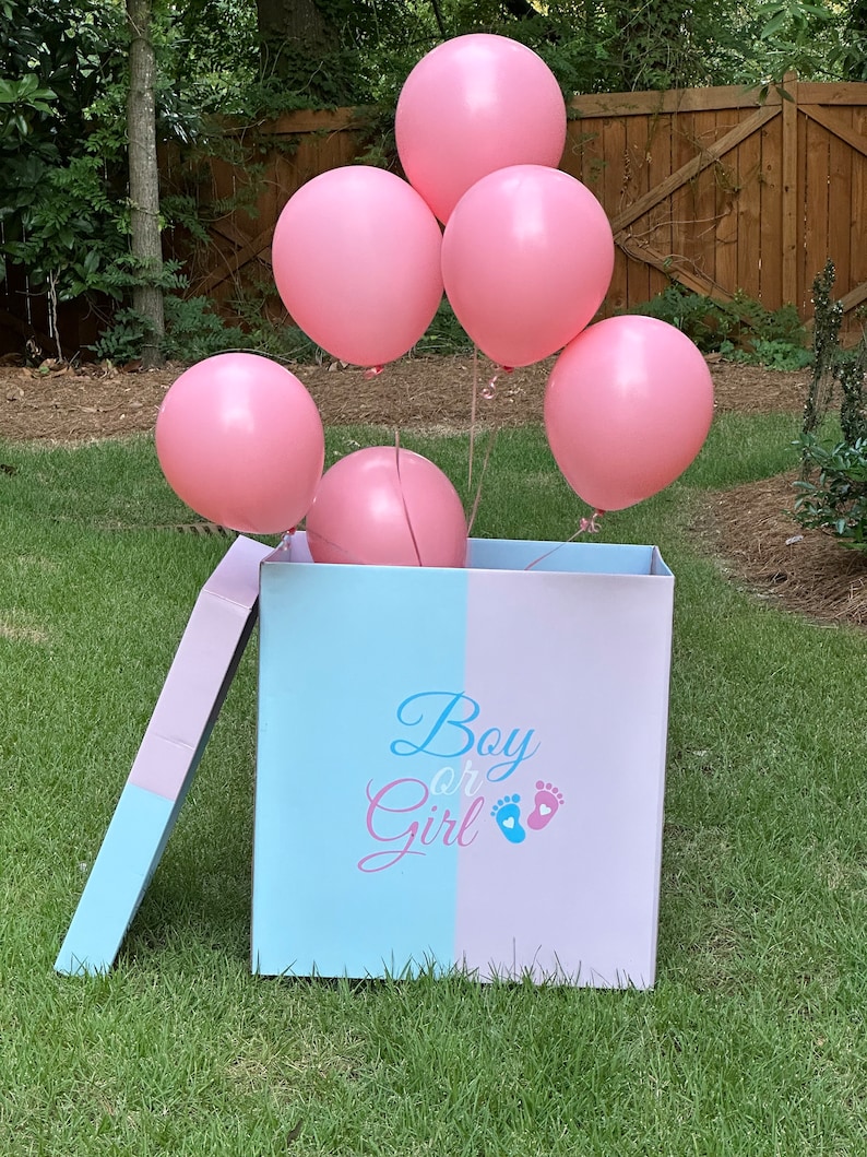 Giant Gender Reveal Box Etsy