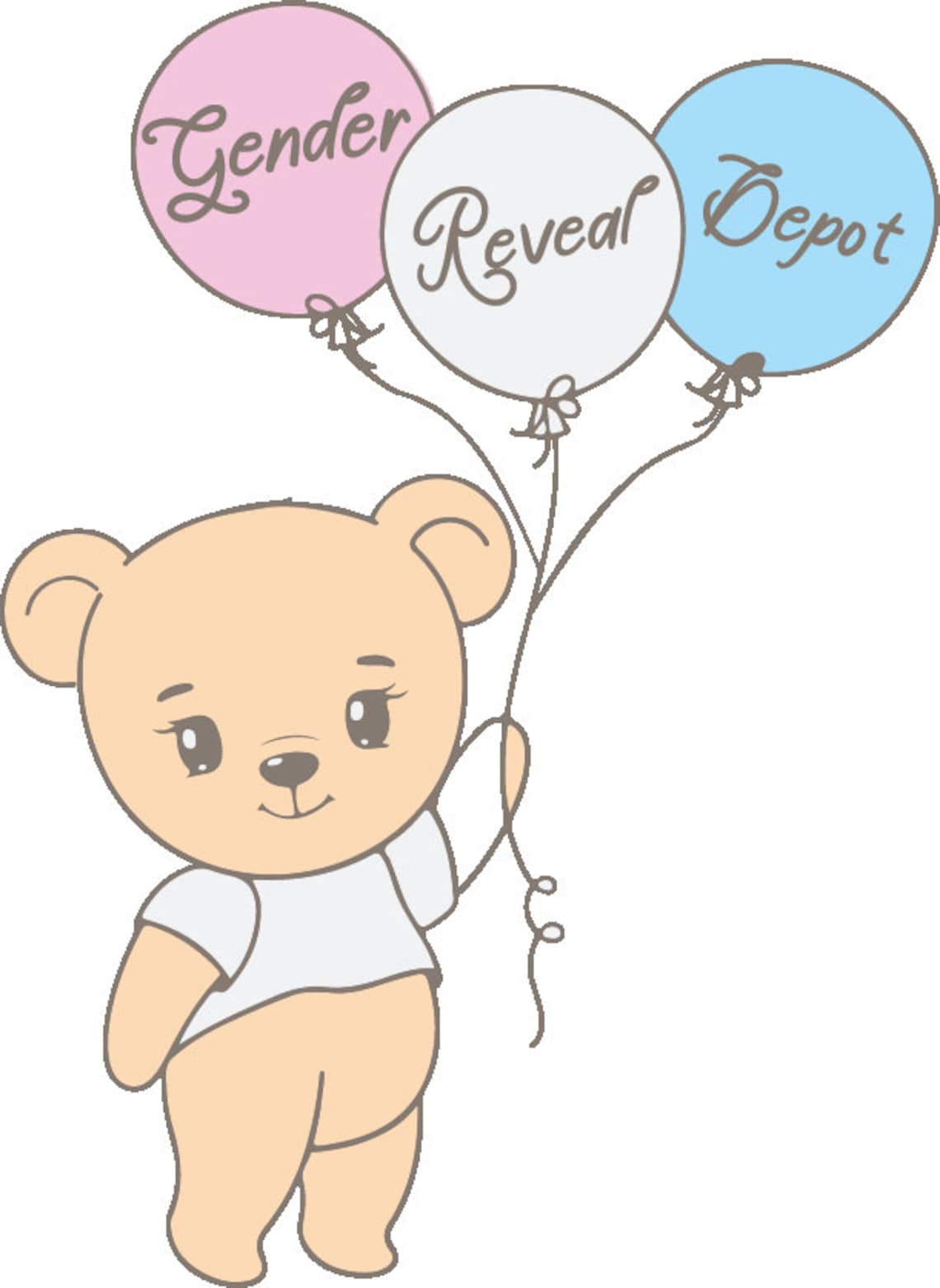 Giant Gender Reveal Box - Etsy