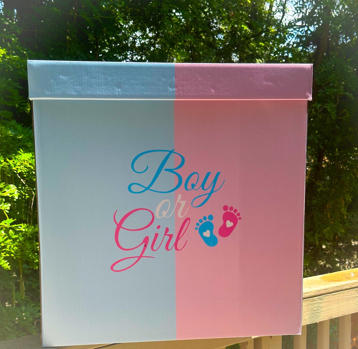 Giant Gender Reveal Box - Etsy UK