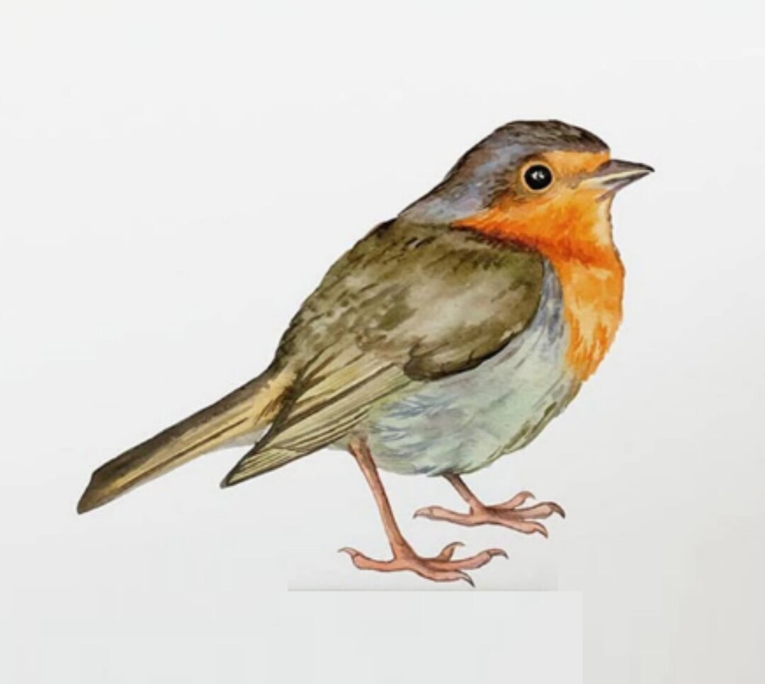 Bird Sticker, Cute Bird Self-adhesive Stickers, 21x17cm - Etsy