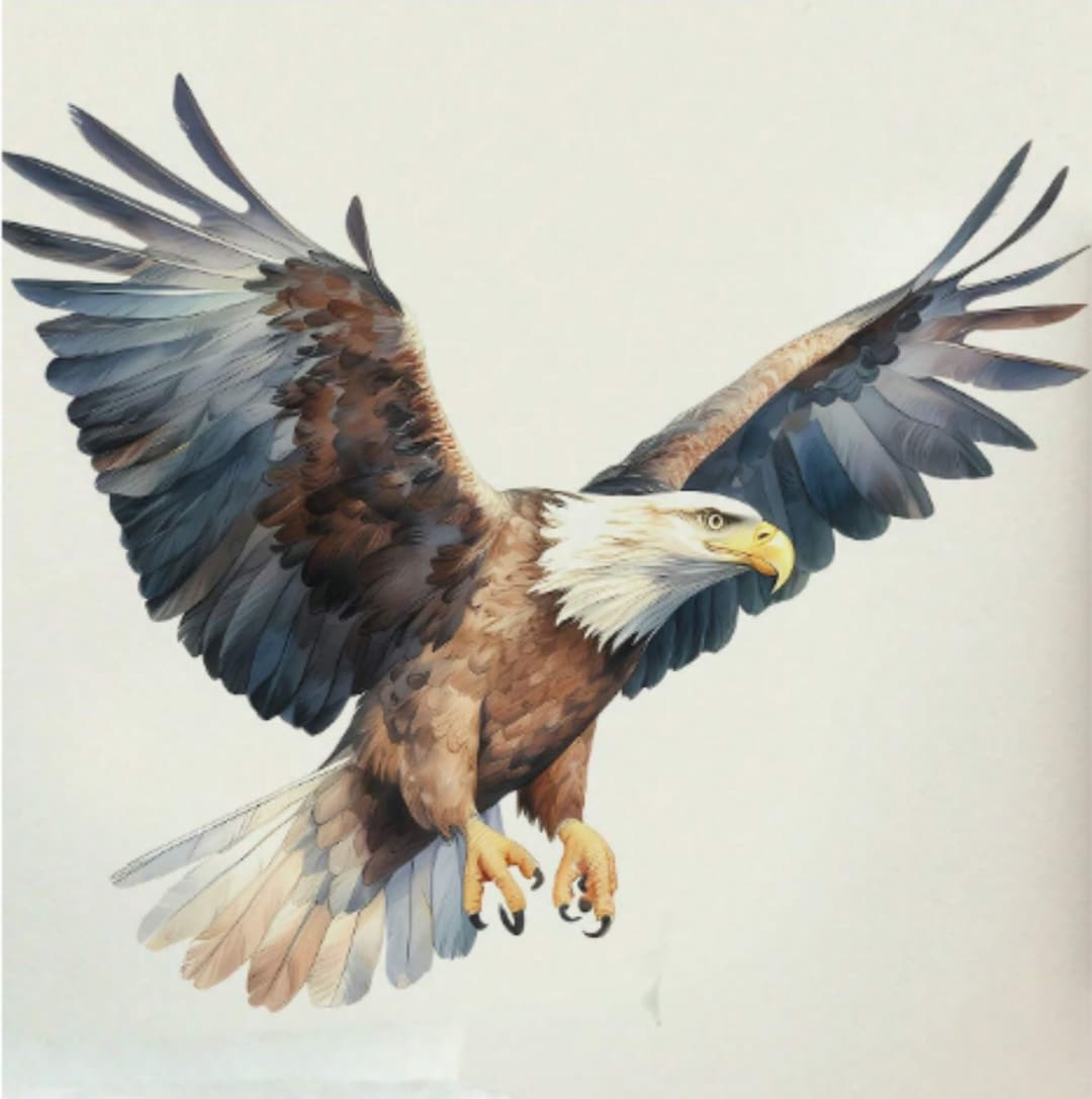 Bird of Prey Eagle Sticker, Raptor Eagle Self-adhesive Stickers ...