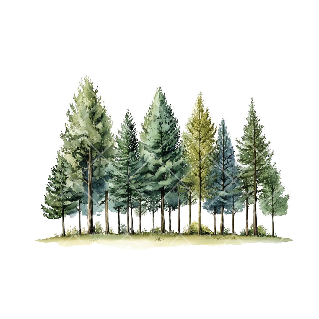 Nordic Watercolor Tree Clipart – 10 PNG Transparent Trees ...