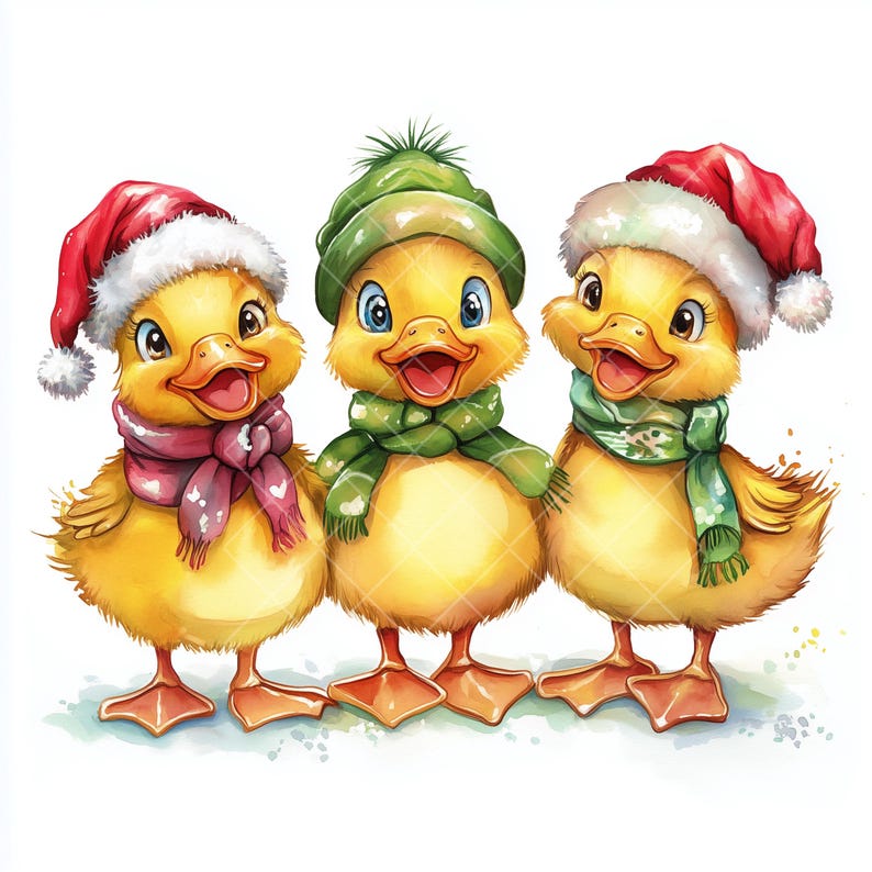 Christmas Duck Clipart Set: Holiday Farm Animal Illustrations (digital ...