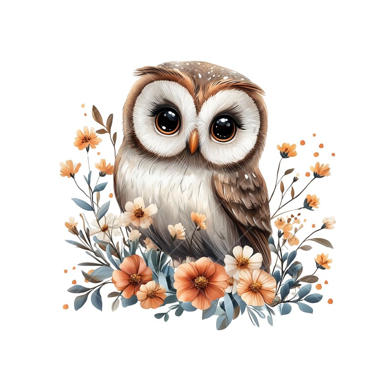 11 PNG Boho Owl With Flowers – Watercolor Clipart With Transparent ...