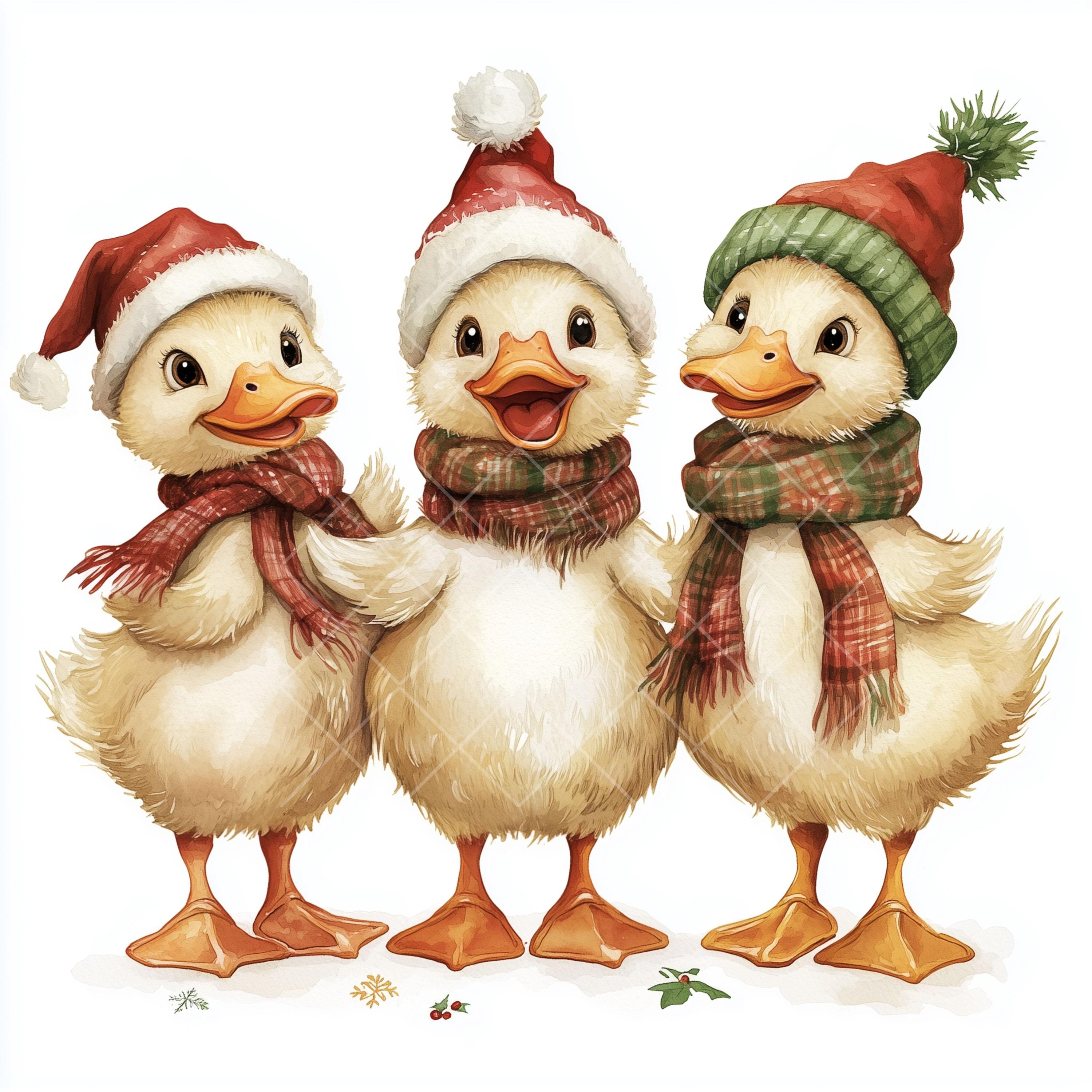 Christmas Duck Clipart Set: Holiday Farm Animal Illustrations (digital ...