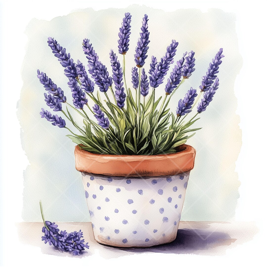 Watercolor Lavender Clipart Set: Floral Flowerpots (digital Download ...