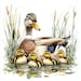 Mother Duck and Ducklings Clipart: Wildlife Nursery Decor (JPG Digital ...