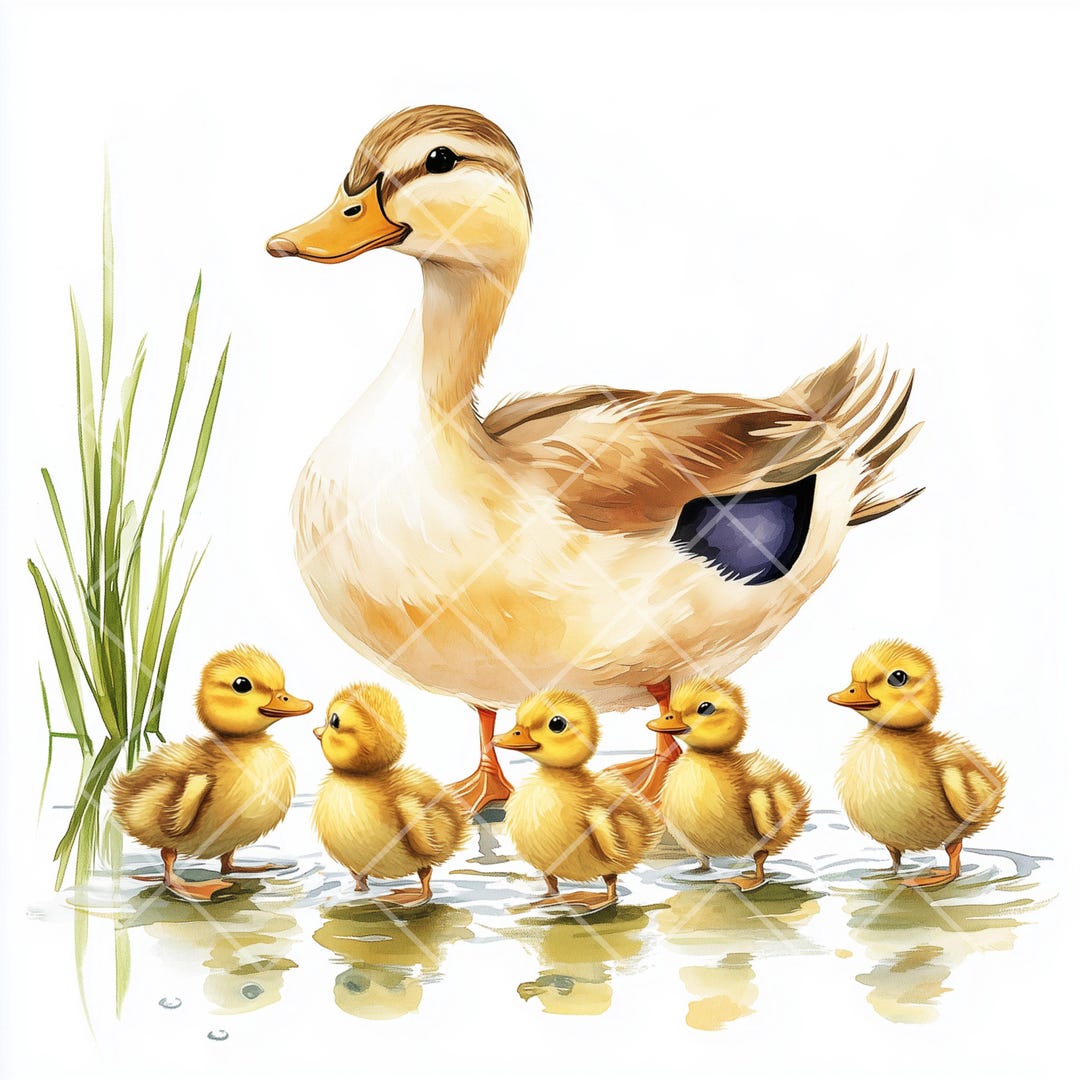 9 JPG Cliparts – Mother Duck and Ducklings, Cute Wildlife Illustrations ...