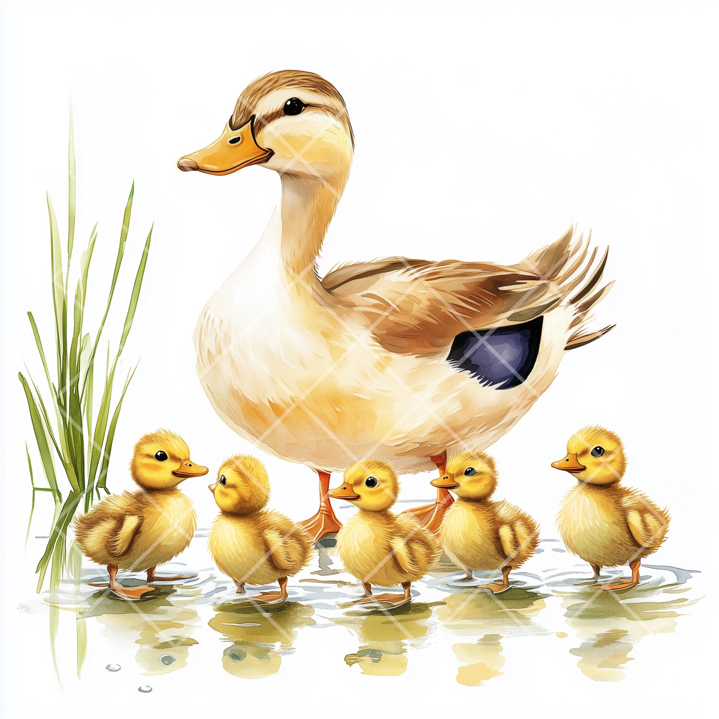 9 JPG Cliparts – Mother Duck and Ducklings, Cute Wildlife Illustrations ...
