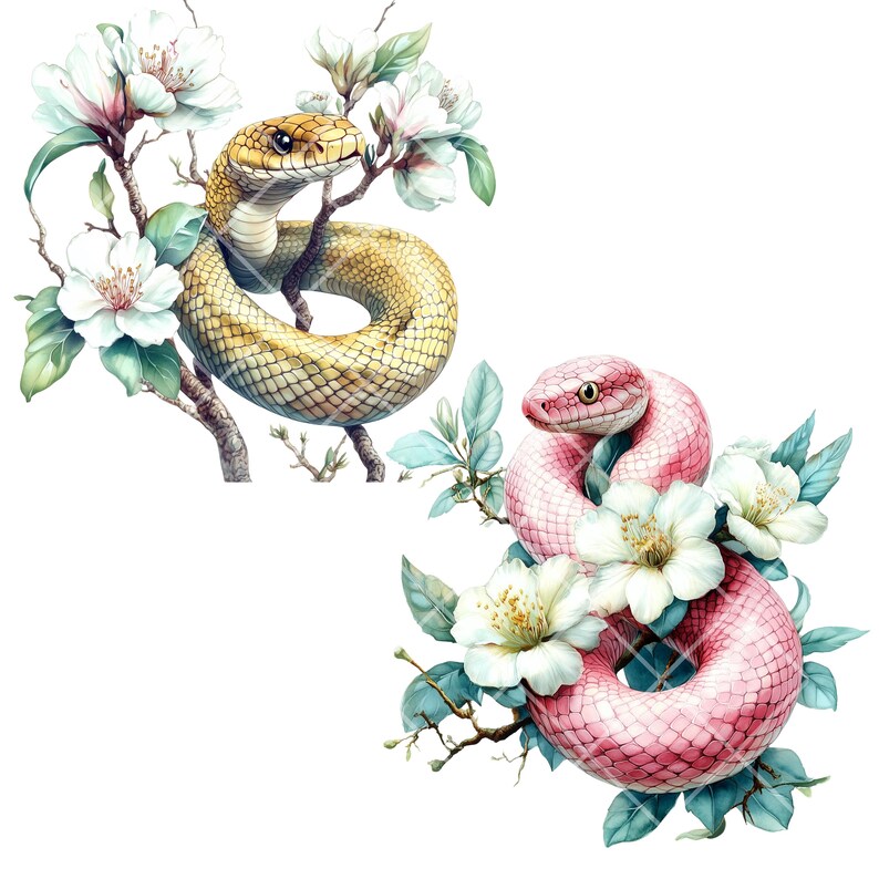 15 PNG Cliparts – Watercolor Snakes With Floral Elements, Elegant ...