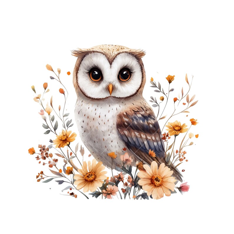 11 PNG Boho Owl With Flowers – Watercolor Clipart With Transparent ...