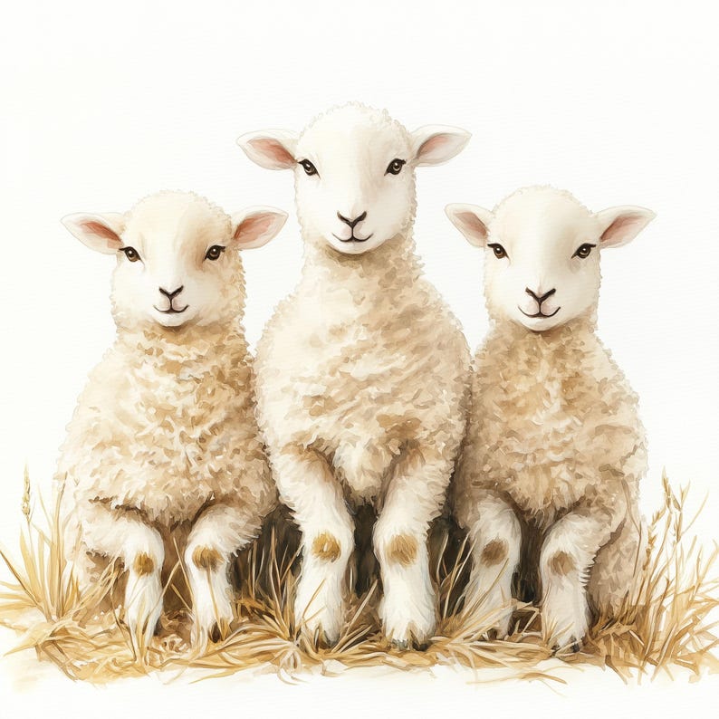 Watercolor Sheep Clipart Set: Farm Animal Illustrations (digital ...