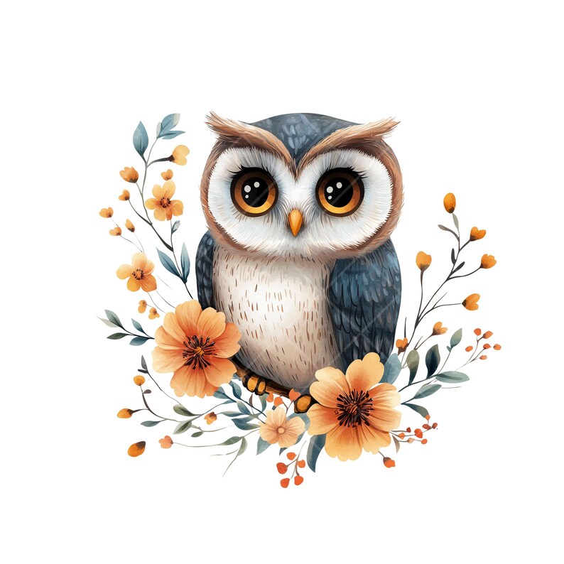 11 PNG Boho Owl With Flowers – Watercolor Clipart With Transparent ...