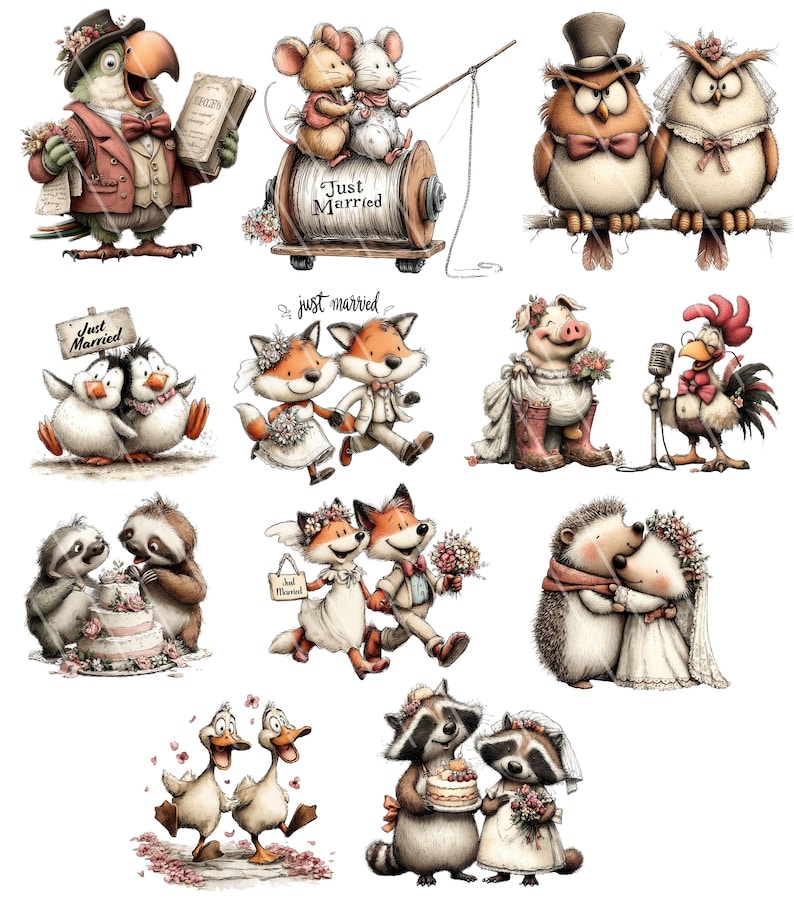 Animal Wedding Clipart, Bride Groom PNG, 43 Illustrations (digital ...