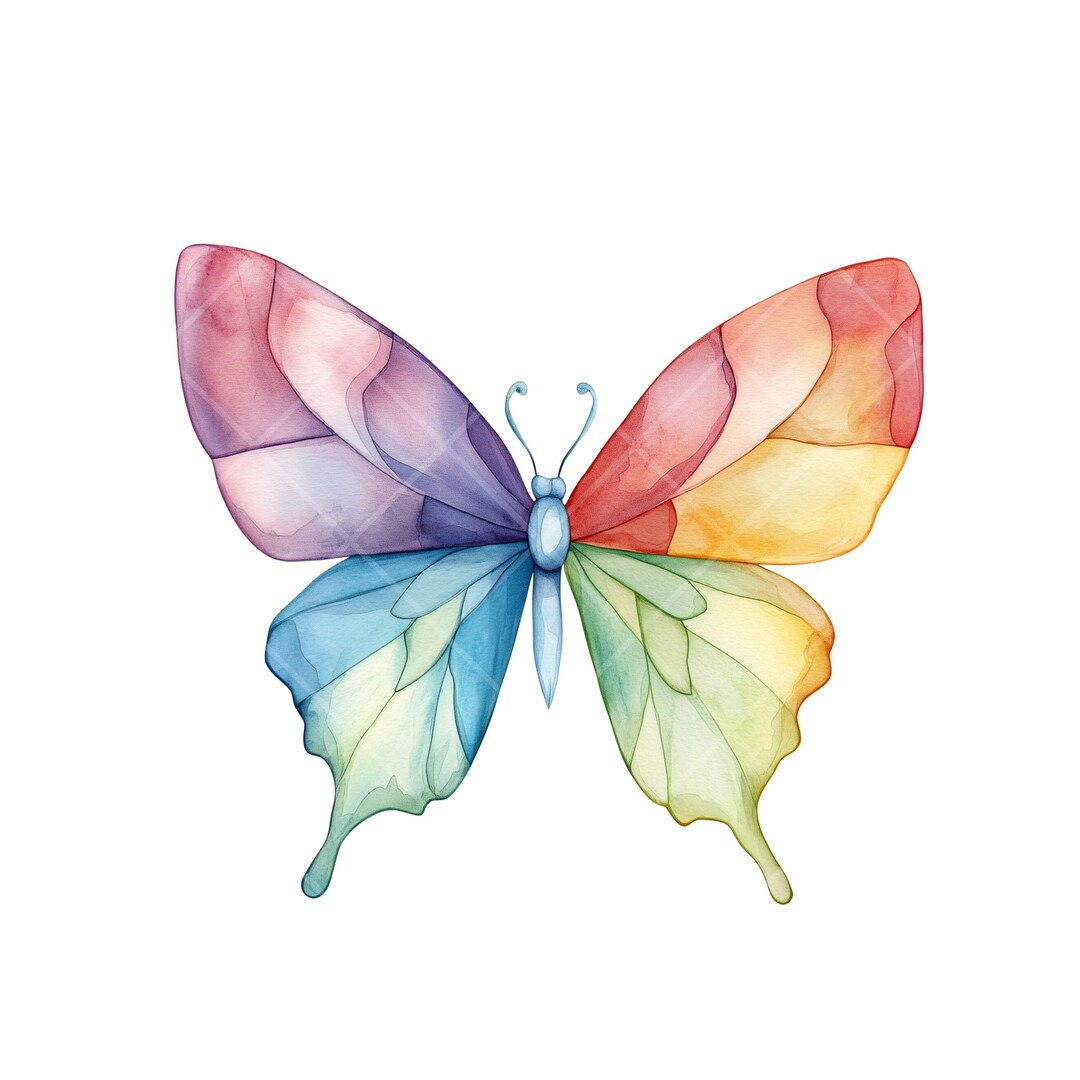 Watercolor Butterfly Clipart: Rainbow PNG Graphics (digital Download ...