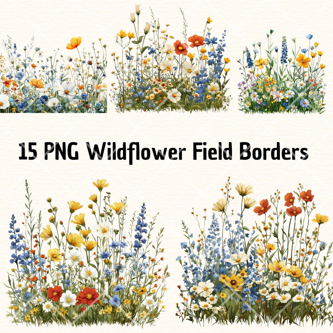 Watercolor Wildflower Field Borders: 15 PNG Clipart, Boho Floral Frames ...