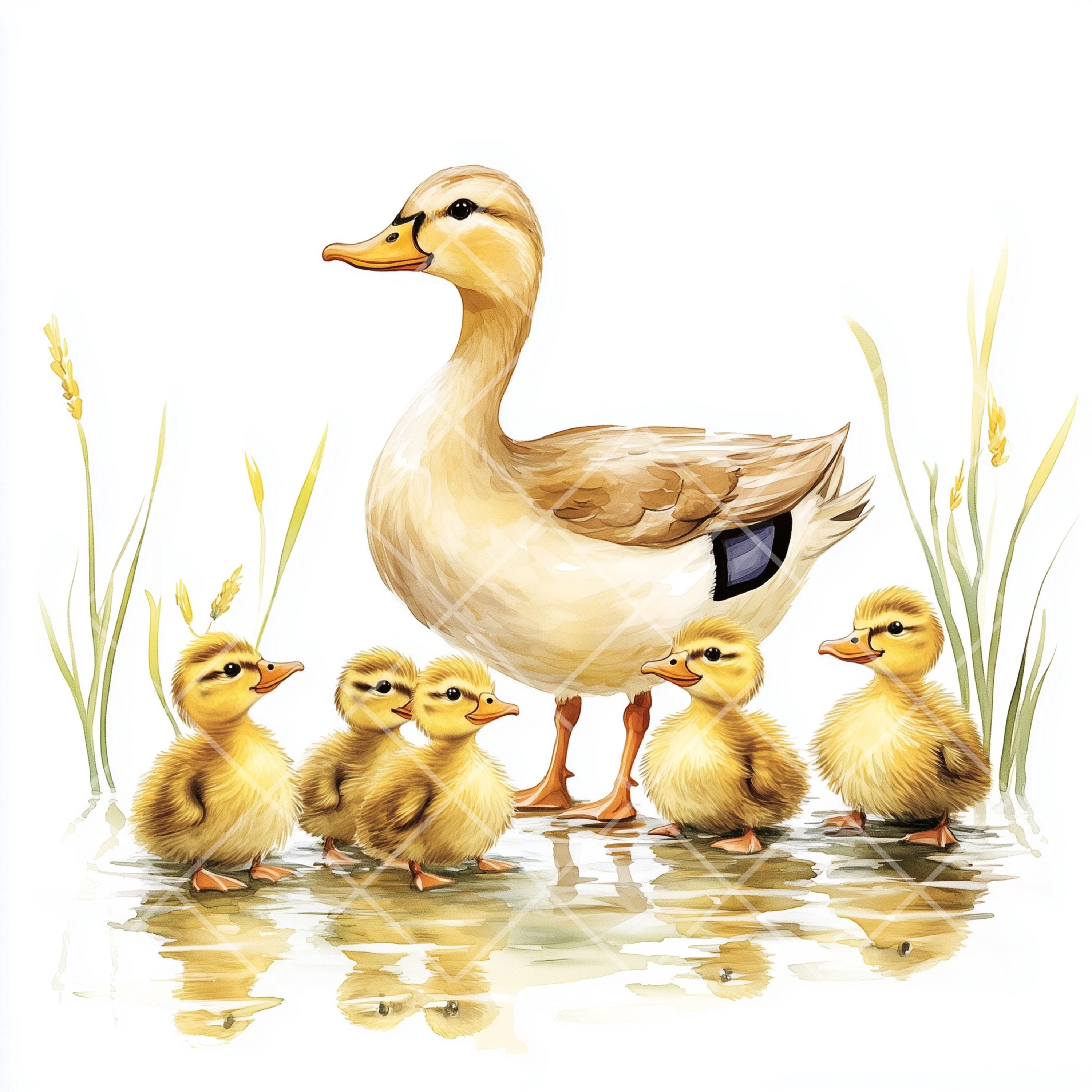 9 JPG Cliparts – Mother Duck and Ducklings, Cute Wildlife Illustrations ...
