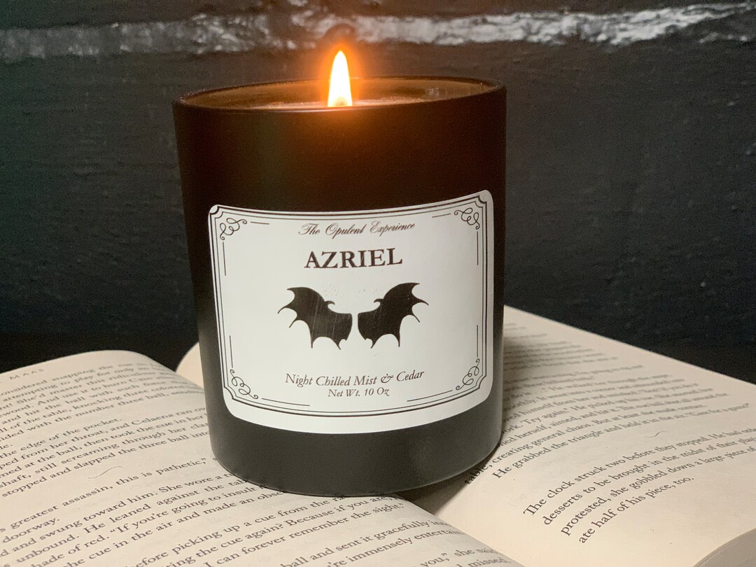 Azriel Candle, ACOTAR, ACOFAS, Book Lover Candle, night Chilled Mist ...