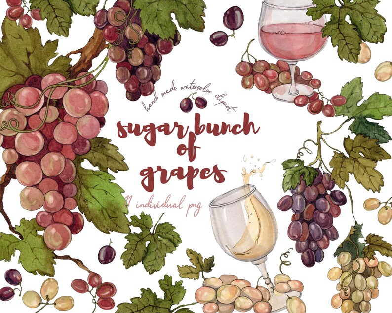 Watercolor Grapes Digital Clipart, Bridal Shower Wedding Decor ...