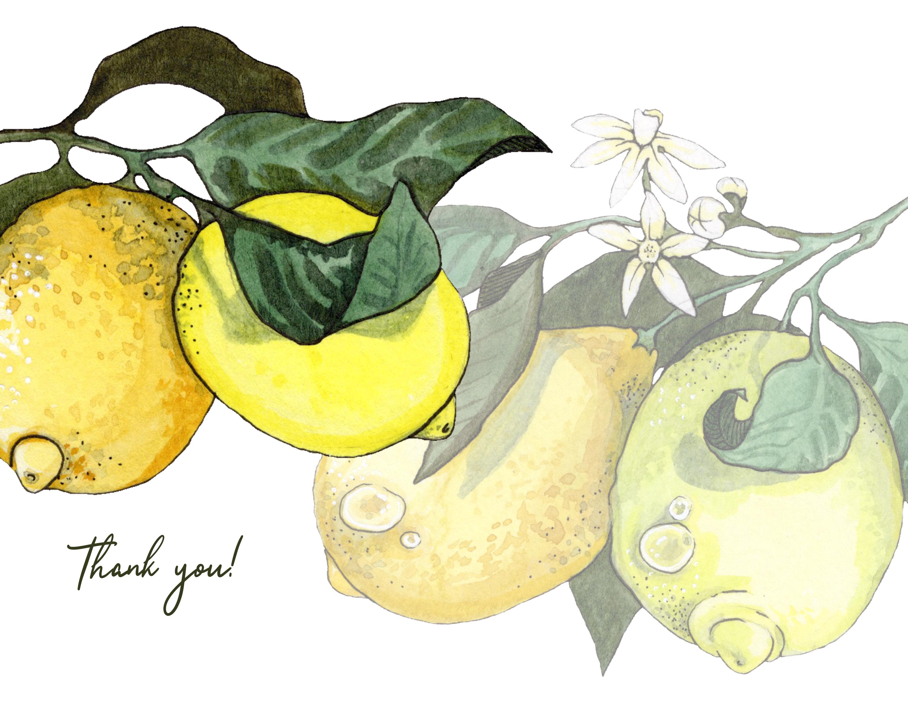 Watercolor Lemon Breakfast Digital Clipart, Summer Fruit Clipart ...