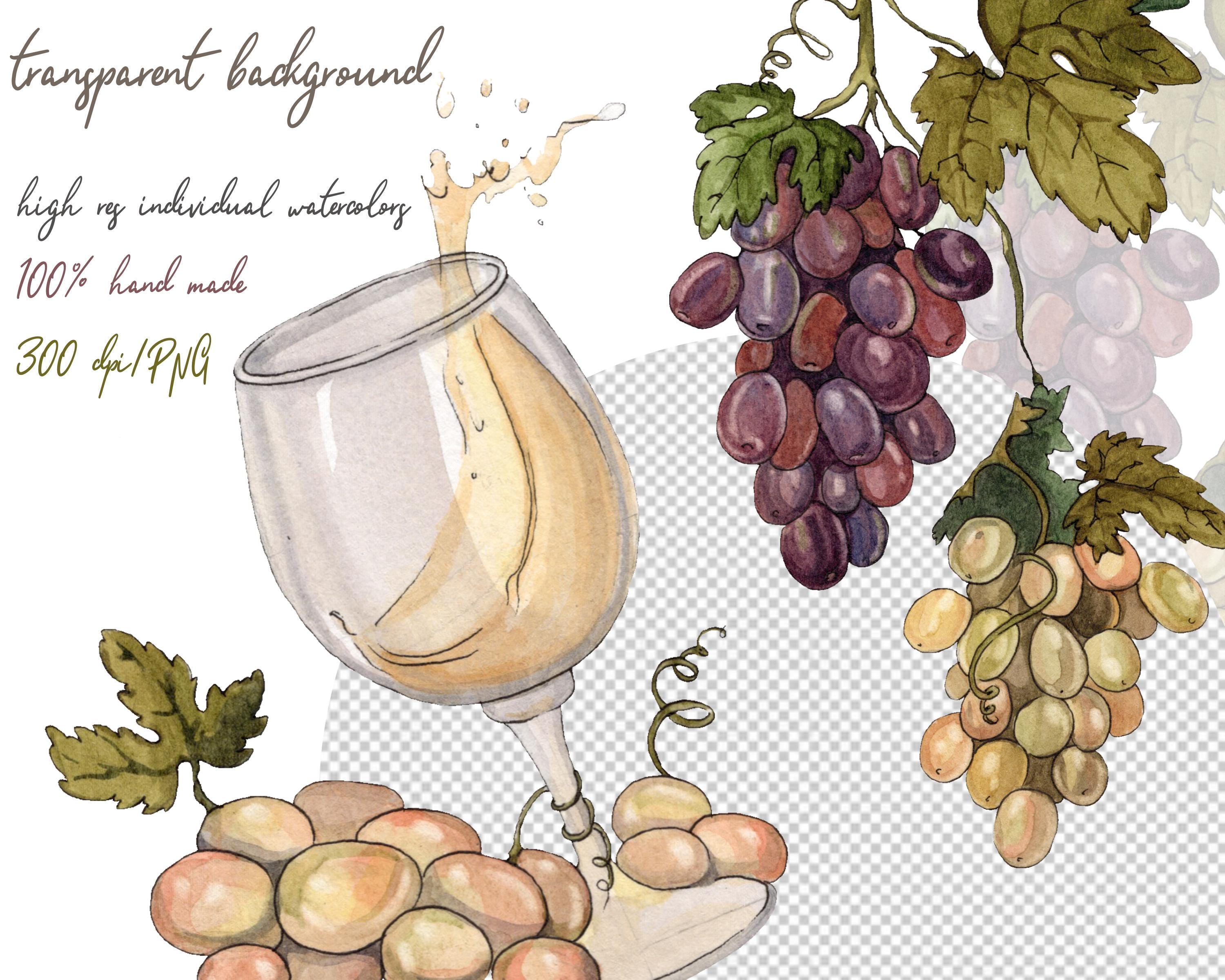 Watercolor Grapes Digital Clipart, Bridal Shower Wedding Decor ...
