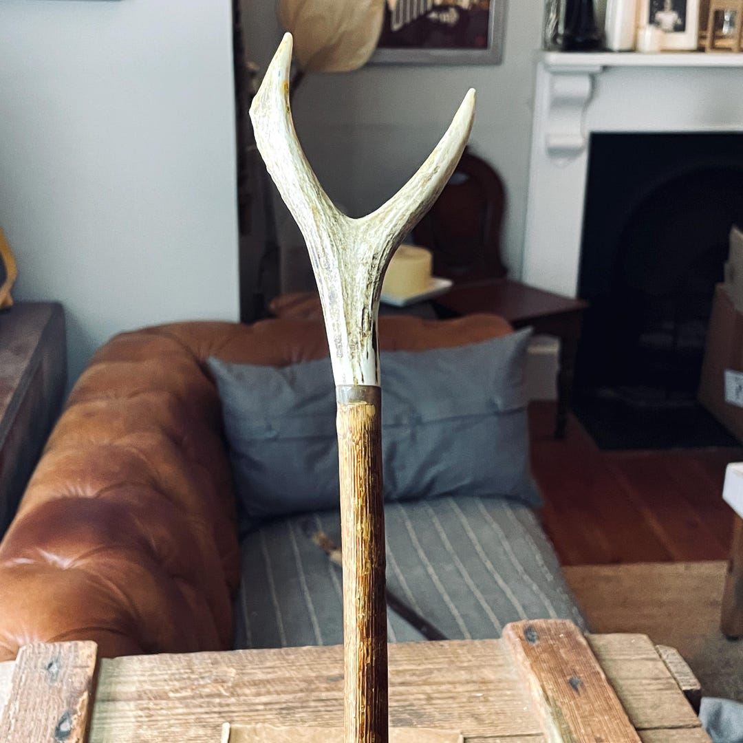 Vintage 'V' Shaped Antler Topped Walking Stick, Also Known as a Thumb ...