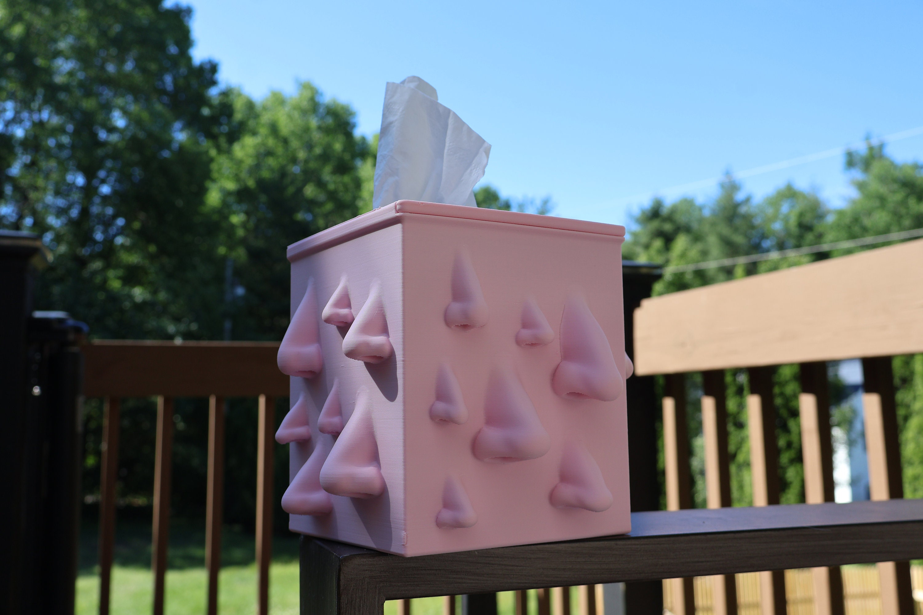 Nosey Tissue Box Cover 3D Printed Funny Home Decor - Etsy