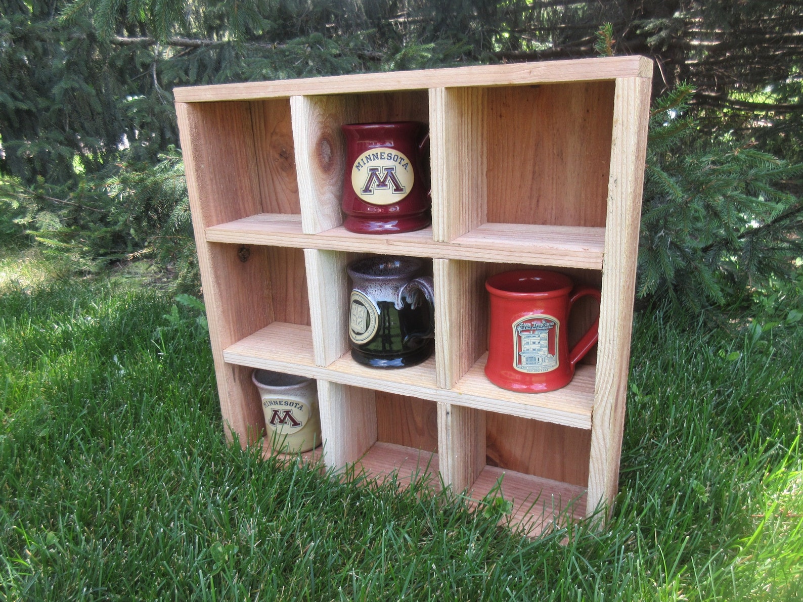 Shadow Box Curio Display Box Rough Cut Natural Cedar Wood - Etsy