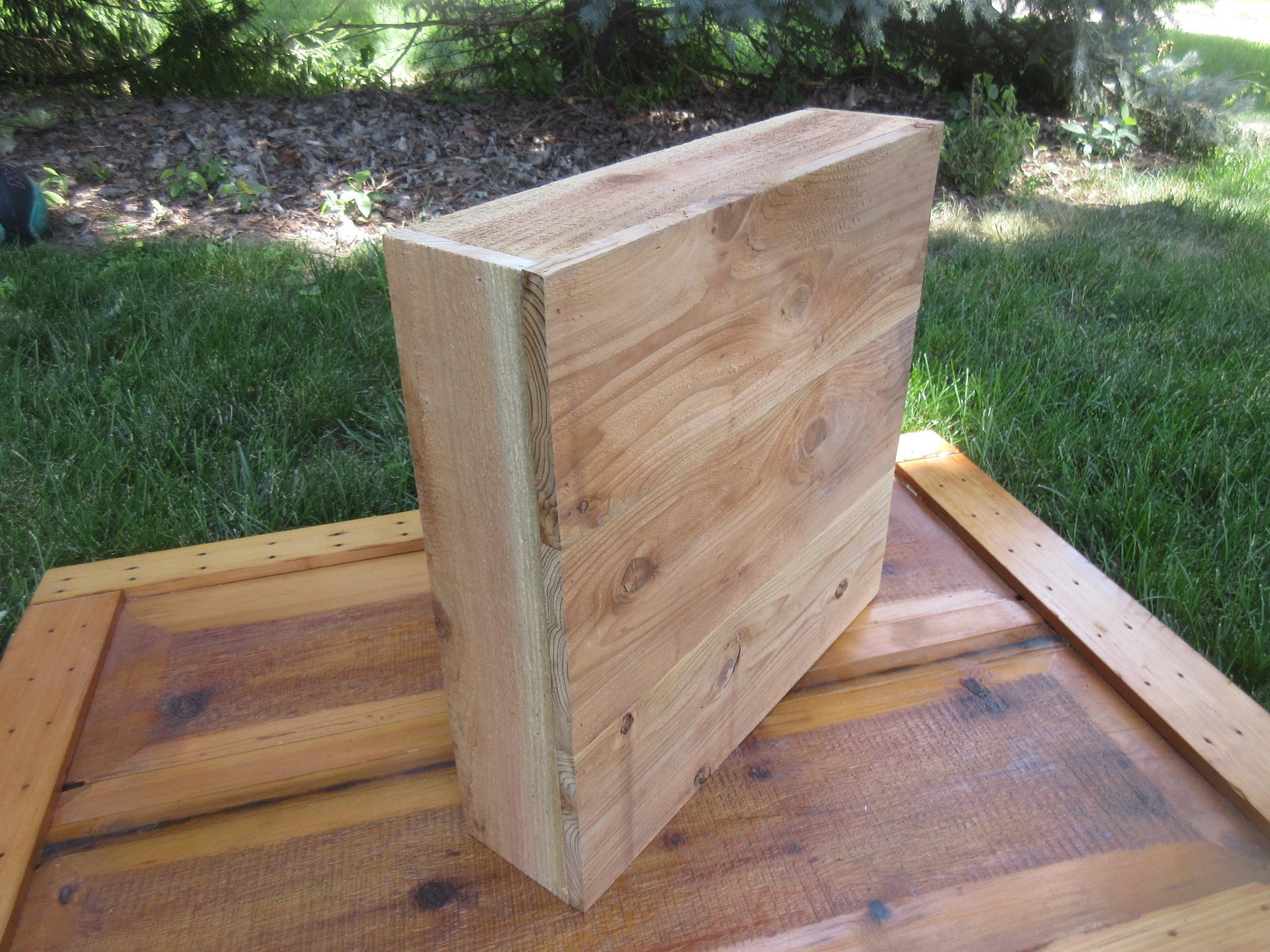 Shadow Box Curio Display Box Rough Cut Natural Cedar Wood - Etsy