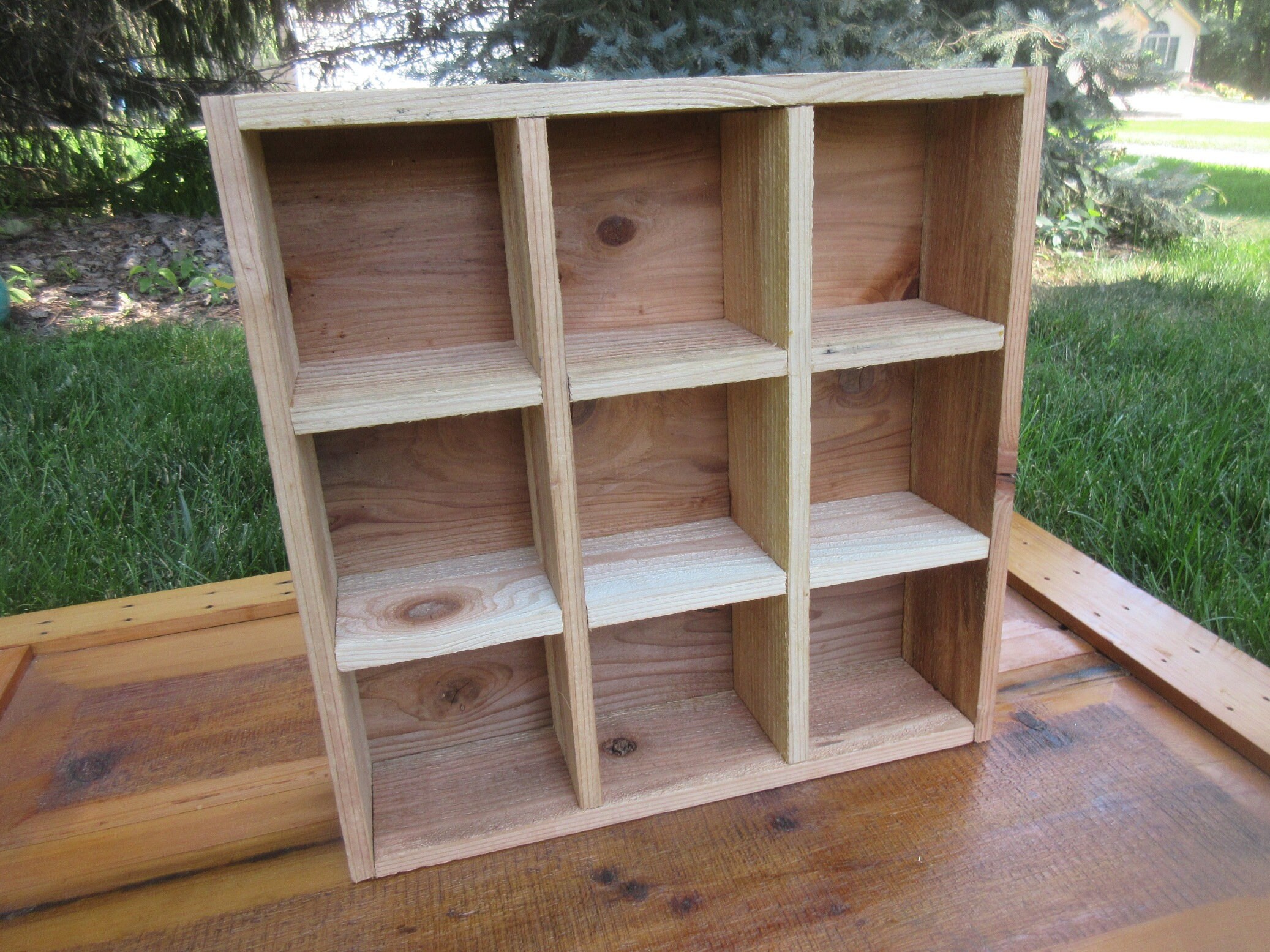 Shadow Box Curio Display Box Rough Cut Natural Cedar Wood - Etsy