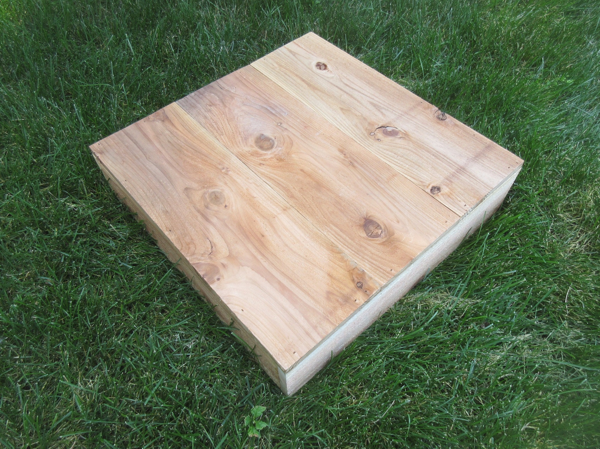 Shadow Box Curio Display Box Rough Cut Natural Cedar Wood - Etsy