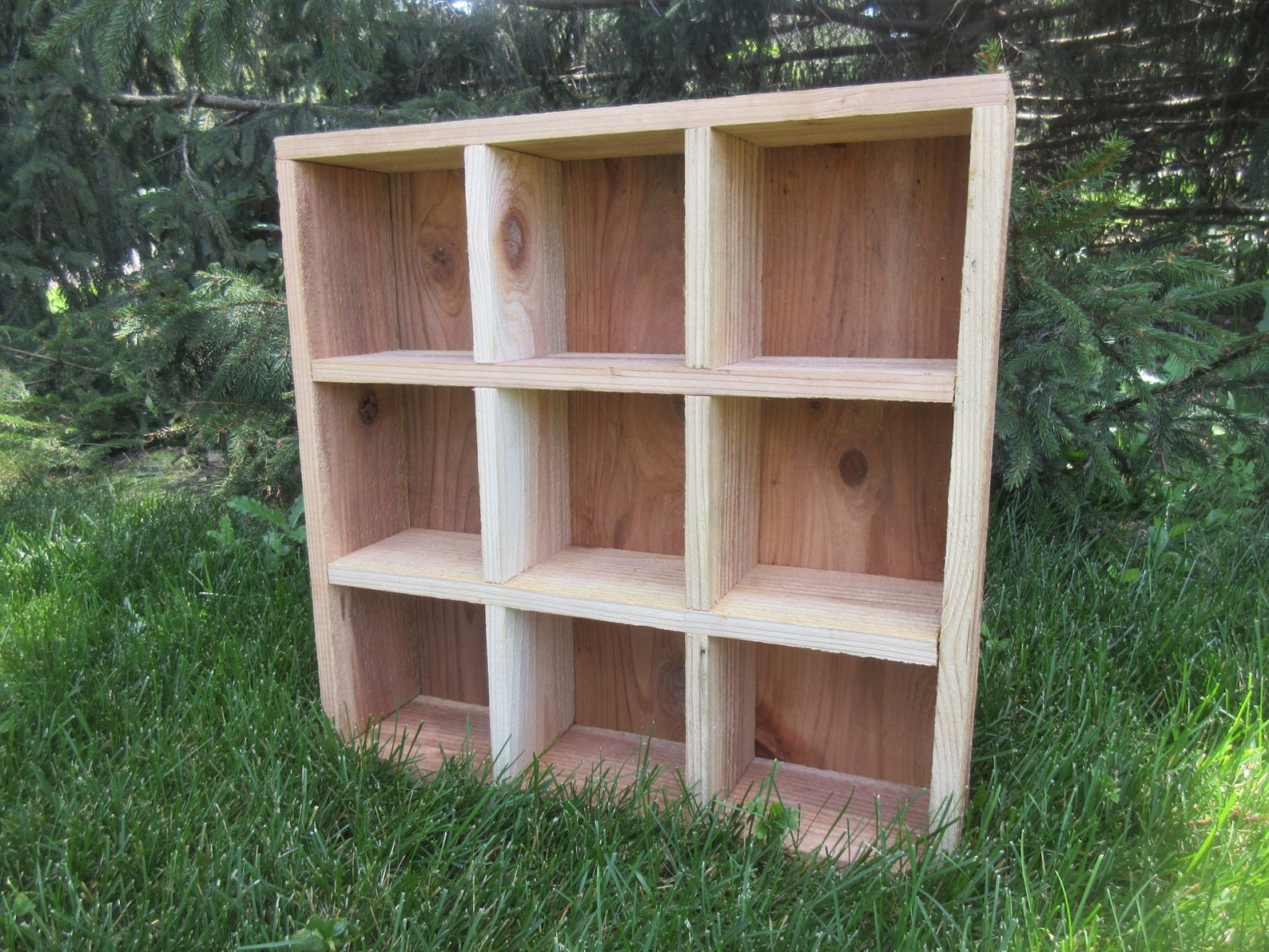 Shadow Box Curio Display Box Rough Cut Natural Cedar Wood - Etsy