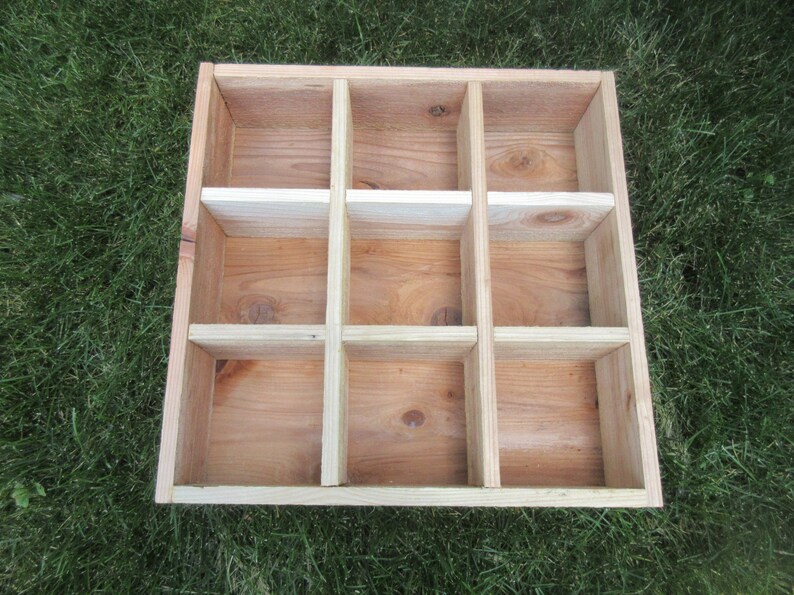 Shadow Box Curio Display Box Rough Cut Natural Cedar Wood - Etsy