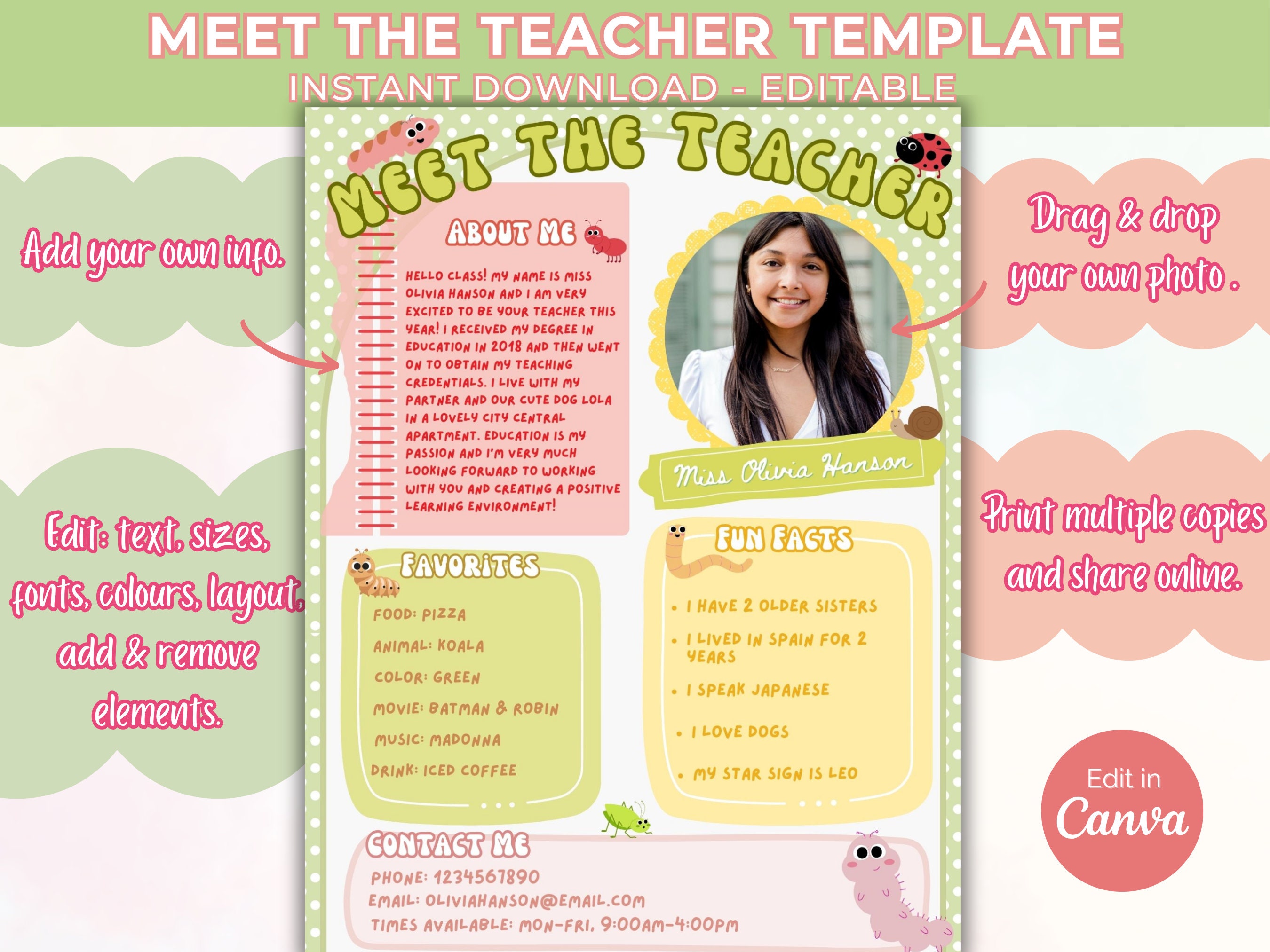 Meet the Teacher Printable Template, Classroom Intro, Canva Editable ...