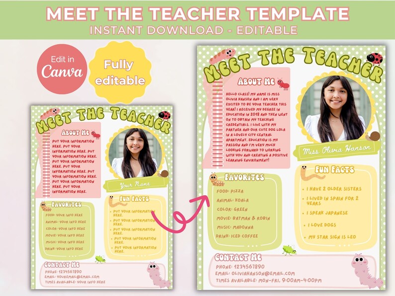 Meet the Teacher Printable Template, Classroom Intro, Canva Editable ...
