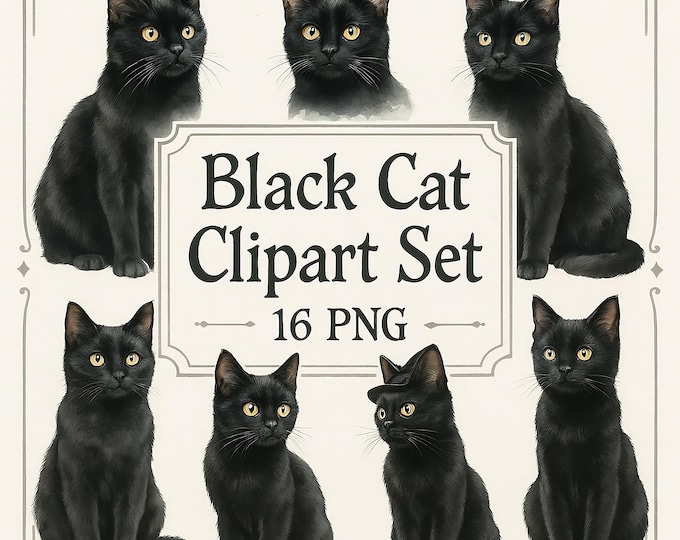 Black Cat Clipart Bundle PNG Set | Cute Black Cat Illustrations ...