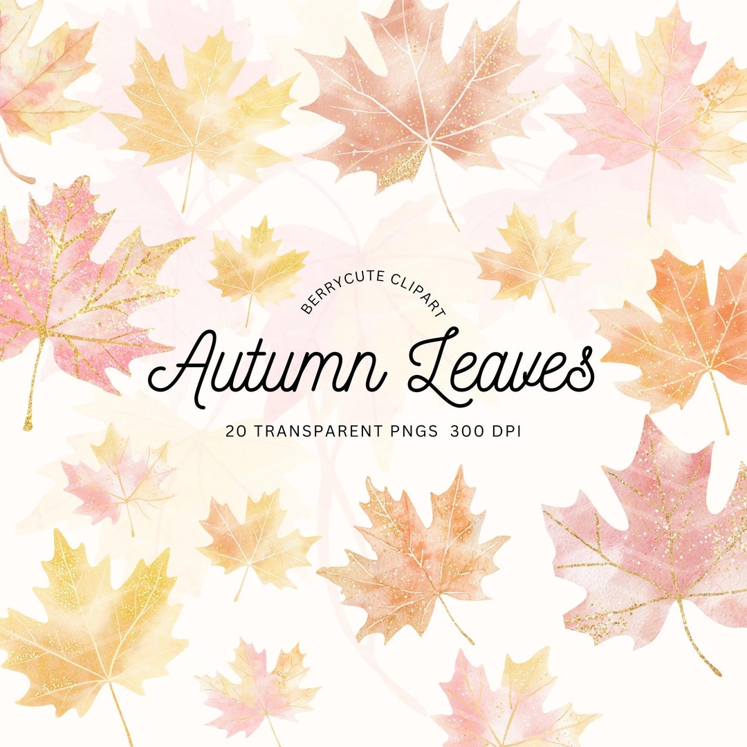Maple Leaf Clipart Pack, Fall Leaves Png, Fall Clipart, Falling Fall ...
