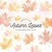 Maple Leaf Clipart Pack, Fall Leaves Png, Fall Clipart, Falling Fall ...