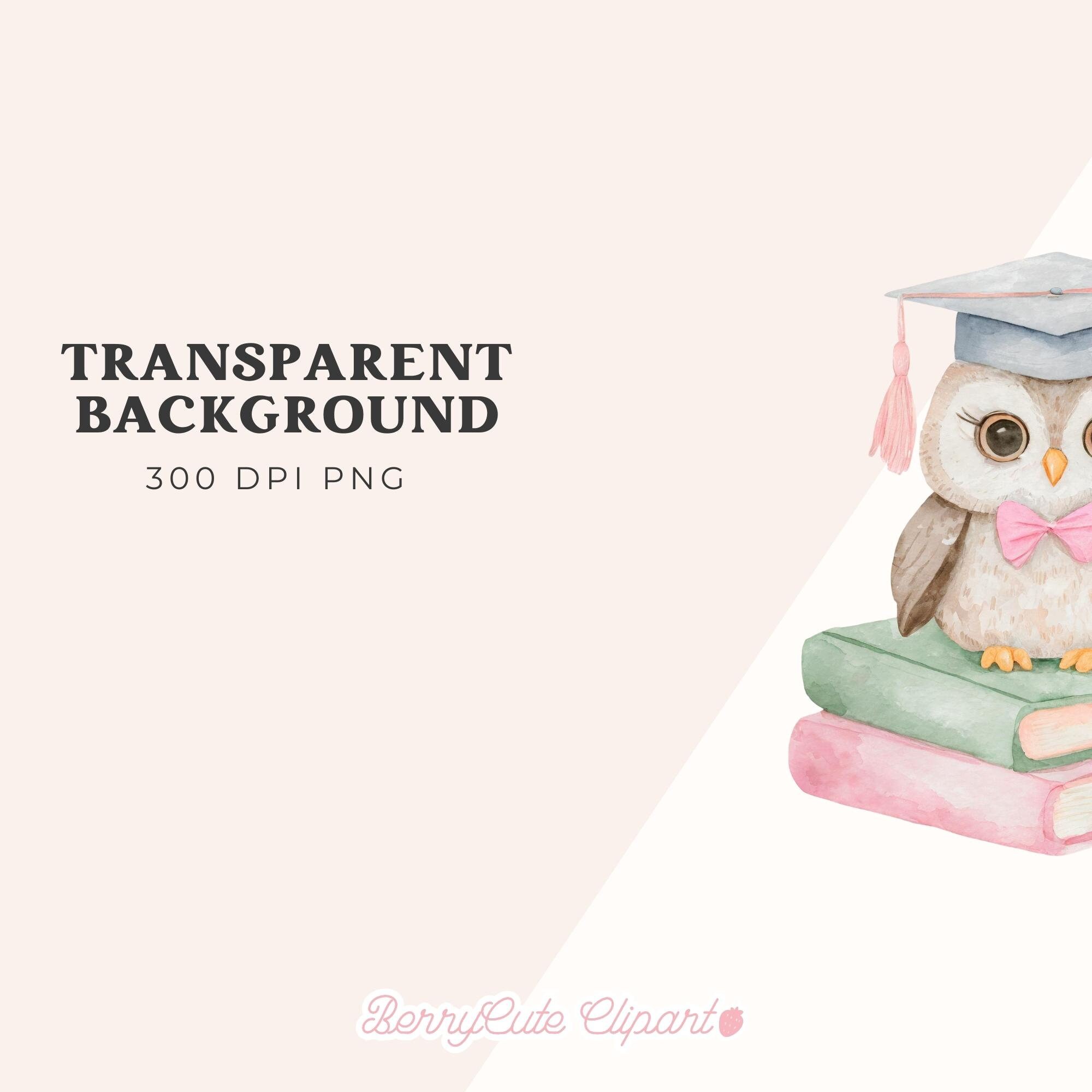 Owl Back to School Clipart, Graduating Owl, School Clipart, Teacher ...