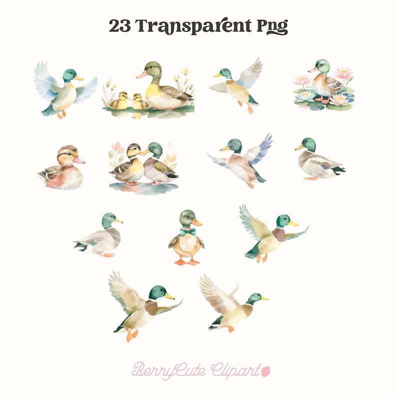 Mallard Duck Clipart Pack, Watercolor Duck Clipart, Duck PNG, for Baby ...