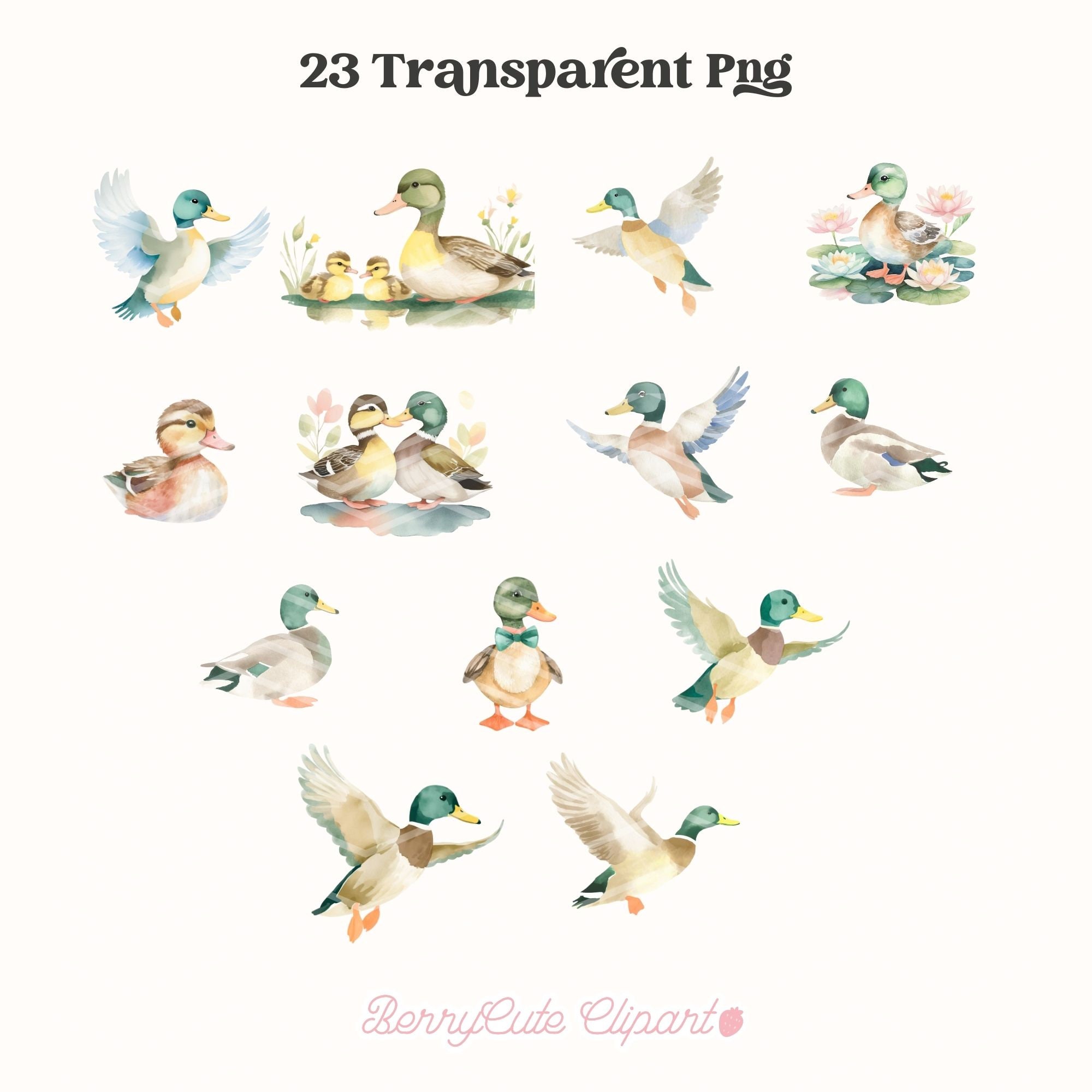 Mallard Duck Clipart Pack, Watercolor Duck Clipart, Duck PNG, for Baby ...