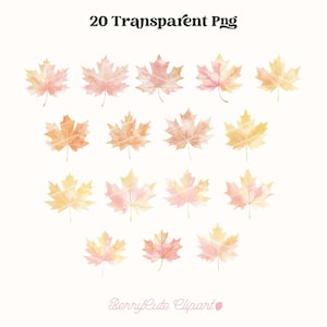 Maple Leaf Clipart Pack, Fall Leaves Png, Fall Clipart, Falling Fall ...