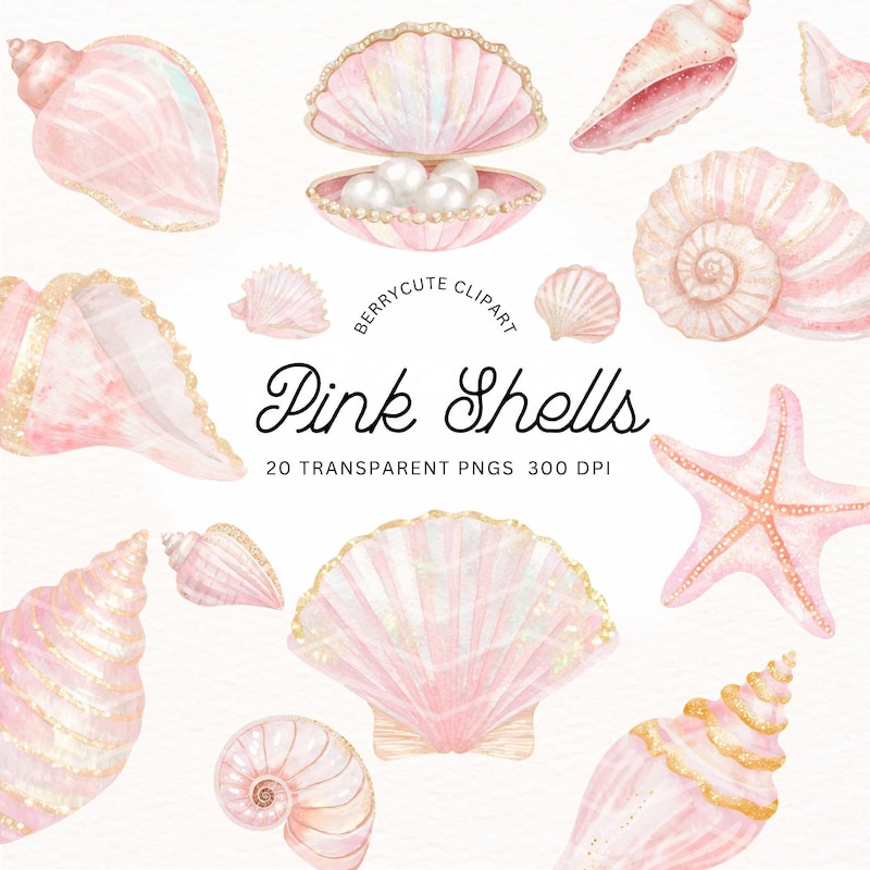 Seashell and Corals Png - Etsy