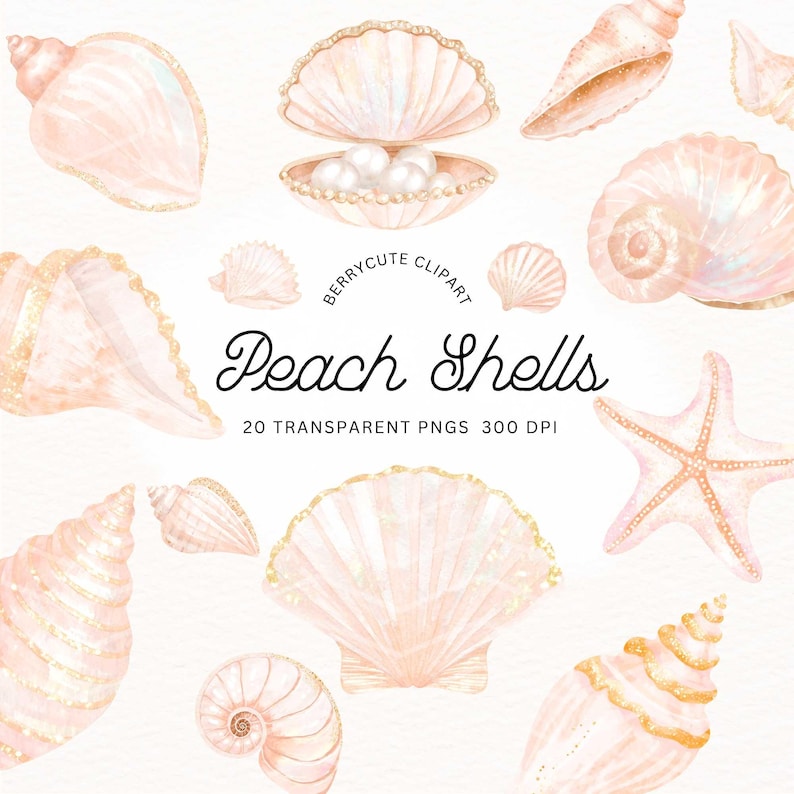 Peach Seashell Clipart Pack, Iridescent Beige Mermaid Shells Png ...