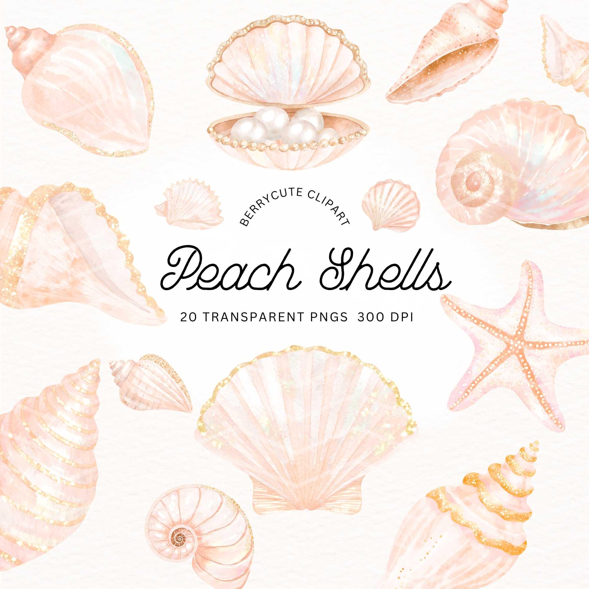Peach Seashell Clipart Pack, Iridescent Beige Mermaid Shells Png ...