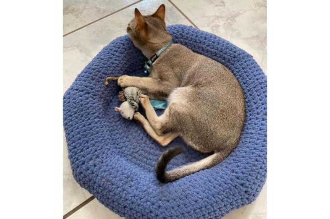 Easy Doughnut-shaped Pet Bed Pattern – Cozy Dog & Cat Bed Sewing ...