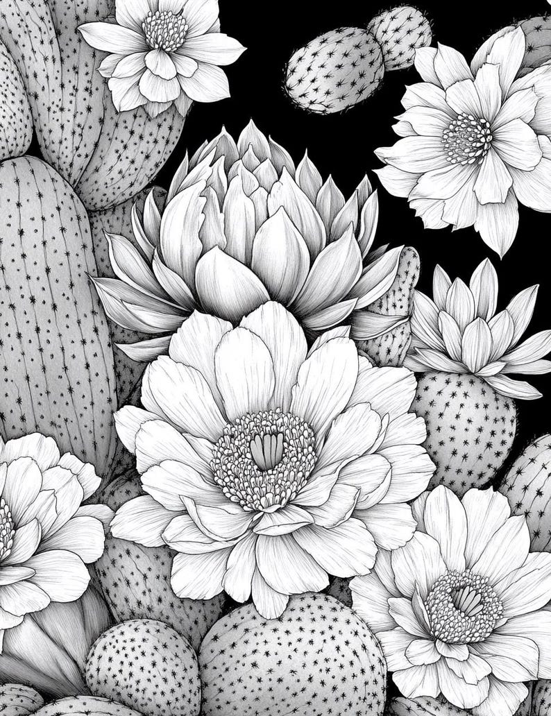 16 Cactus & Succulent Coloring Pages - Printable Adult Coloring Sheets ...