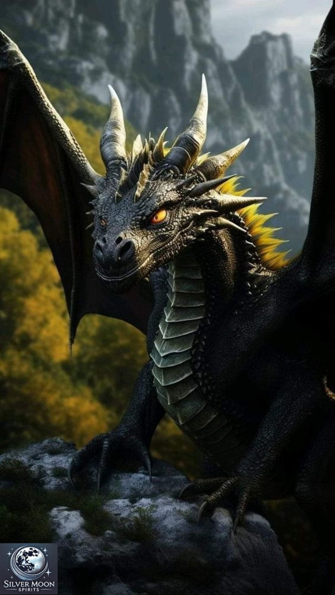 The Little Black Dragon Spirit Companion Bearer of Extreme Luck ...