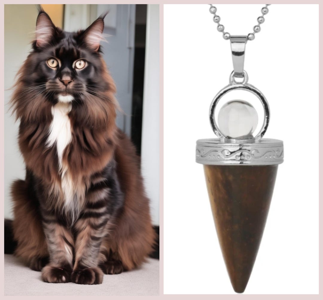 The Magical Brown Cat Spirit Companion, Familiar Magical Vessel - Etsy